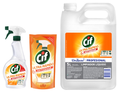 Limpiador Cif Antigrasa en Cocinas - Casa Thames